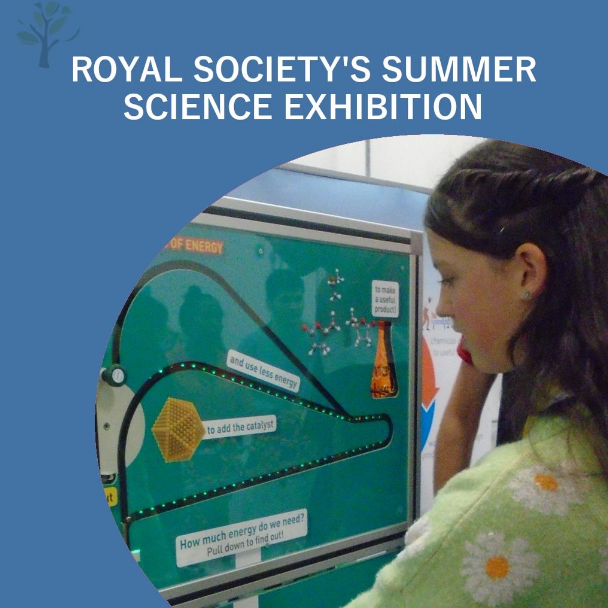 Limehurst Academy - Royal Society's Summer Science Exhibition