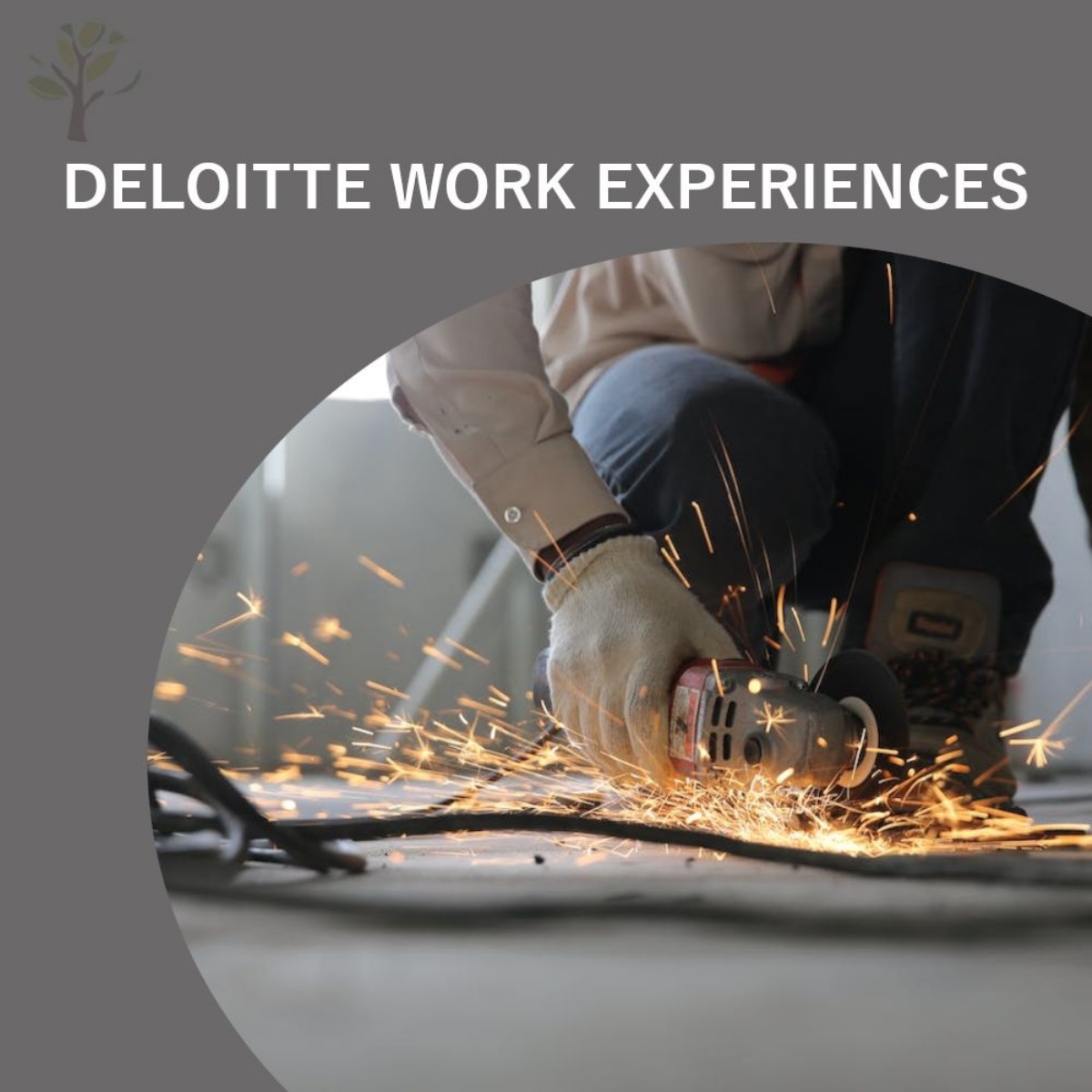 Limehurst Academy - Deloitte work experiences